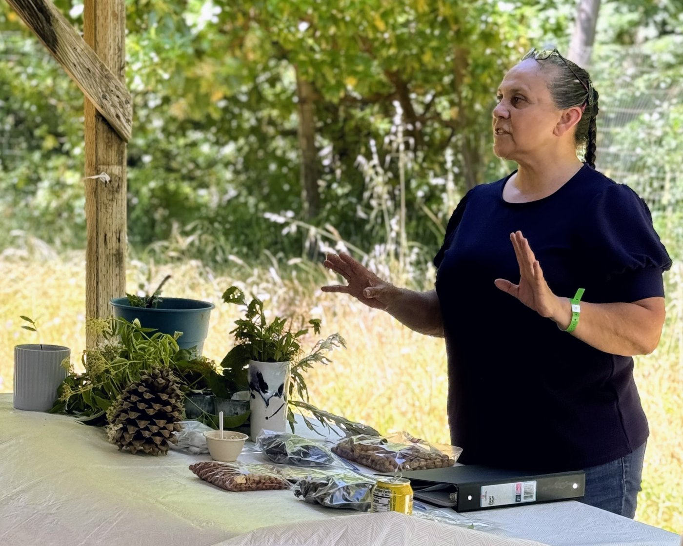 Bay Area | GRID Alternatives